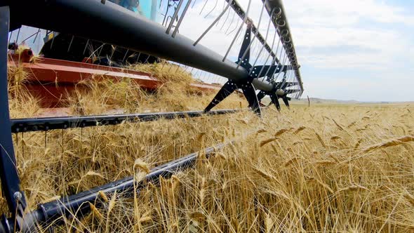 Shooting Video of Grain Harvester Forks with an Action Camera. Closeup ...