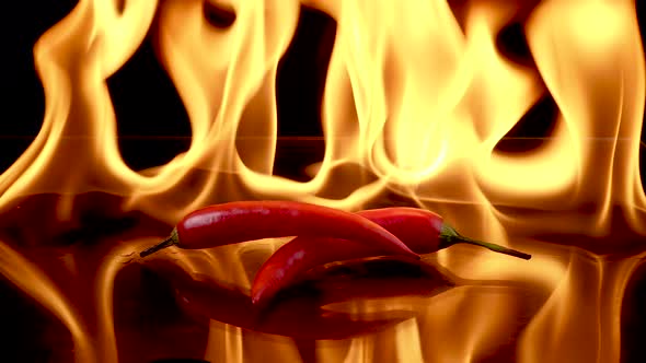 Hot Red Chili Peppers in Flames Burn, Stock Footage | VideoHive