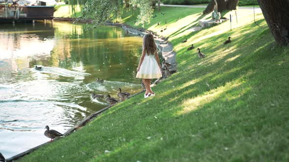 Live Camera Follows Joyful Little Girl Running in Sunny Park Scaring ...