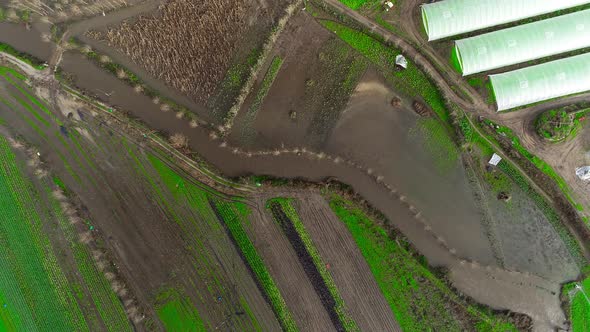 Flood Natural Disaster Agriculture Fields After Storm, Stock Footage