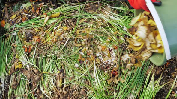 Farmer Dumps Organic Waste Into a Compost Pit, Stock Footage | VideoHive