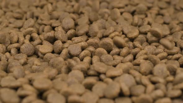 Dry granulated dog or cat food fall into pile in shallow Dof - Slow ...