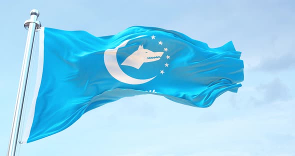 Turan flag waving 4k, Motion Graphics | VideoHive