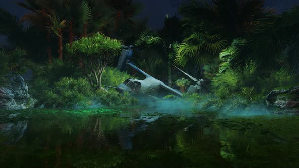 Shattered Jungle Technique, Motion Graphics | VideoHive