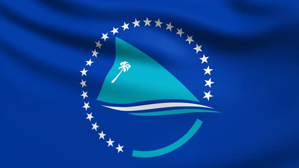 Pacific Community Flag 4K, Motion Graphics | VideoHive