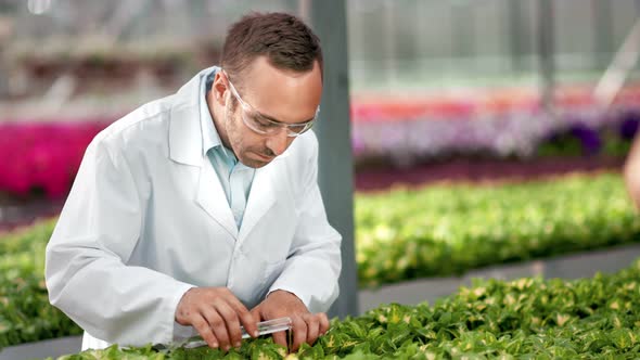 Focused Male Agriculture Engineer Pouring Sample Water at Organic Plant ...
