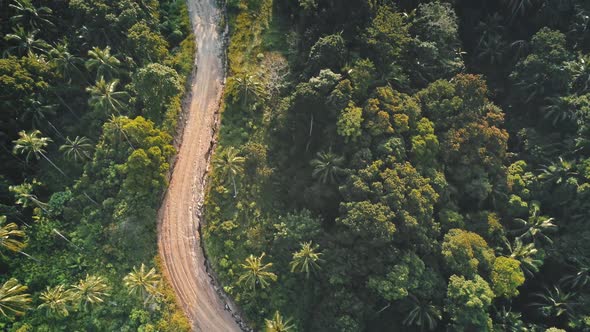 Aerial Top Down Jungle Forest Road, Stock Footage | VideoHive