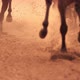 Horse Racing Feet, Stock Footage | VideoHive