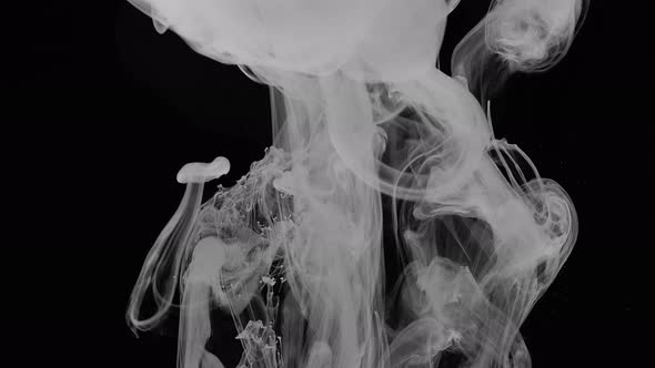 Ink, Smoke Background by VisionalMedia | VideoHive