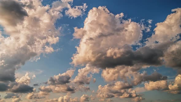 INK by YB-VFX | VideoHive