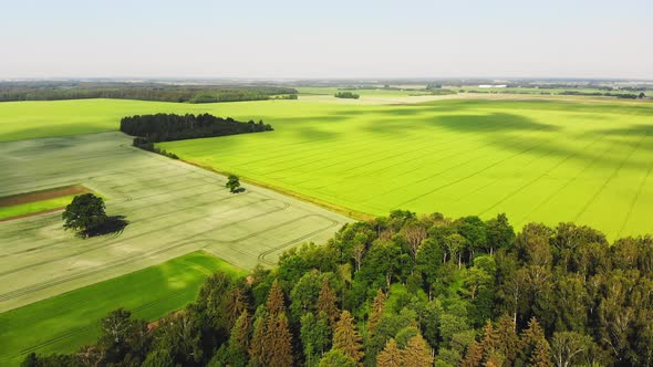 Static View Lithuania Countryside Panorama, Stock Footage | VideoHive