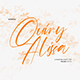 Quiny Alissa Signature Script Font, Fonts | GraphicRiver