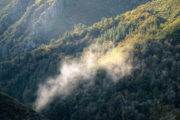 Wisp of fog floats through a rocky gorge with native forests Stock ...