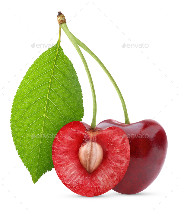 isolated halved cherries Stock Photo by photomaru | PhotoDune