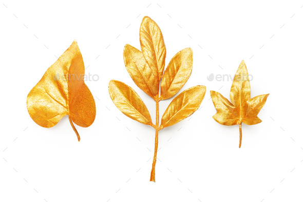 golden leaf design elements. Stock Photo by FabrikaPhoto | PhotoDune