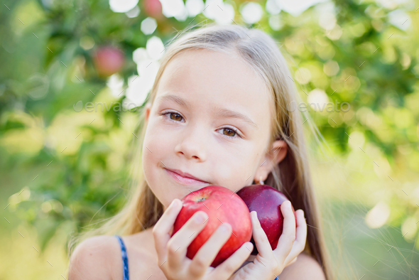 Child picking apples on farm in autumn. Little girl playing in apple ...