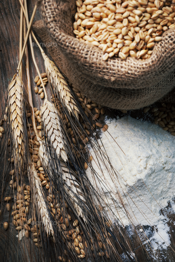 Wheat, flour and grain still life Stock Photo by hitdelight | PhotoDune