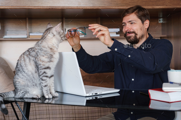 Working at home with pet laying on lap. Man works from home typing on ...