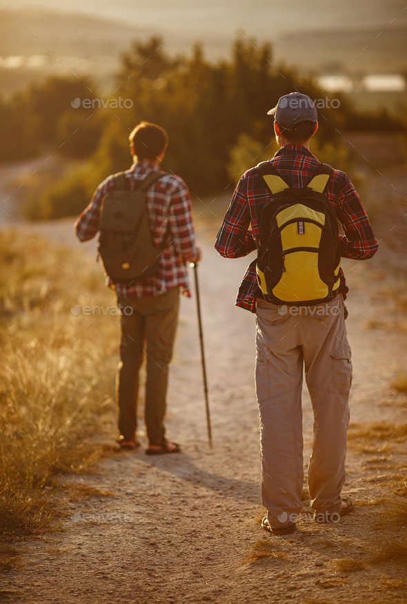 two men hikers enjoy a walk in nature, sunset time in summer Stock ...