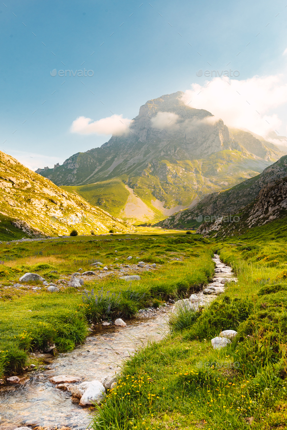 Vertical landscape photography Stock Photo by Meniphoto | PhotoDune