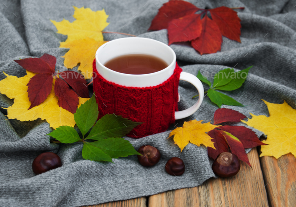 Cup of tea and autumn leaves Stock Photo by Olena_Rudo | PhotoDune