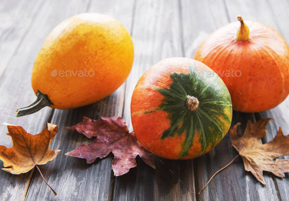 Fall background with multi color pumpkins Stock Photo by Olena_Rudo