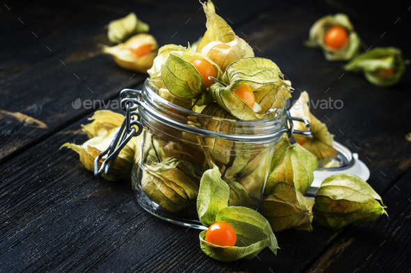 Dry physalis, dark background, selective focus Stock Photo by 5PH ...