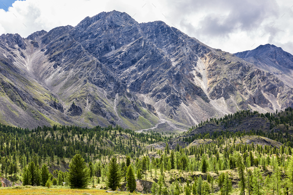 Siberian mountain taiga illuminated by sunlight on cloudy day. Stock ...