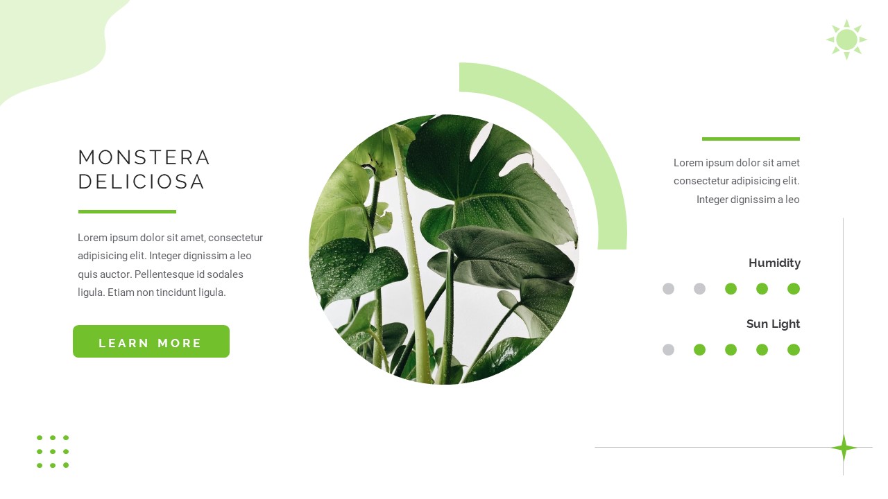 Plantice - Plant Store Google Slides, Presentation Templates | GraphicRiver