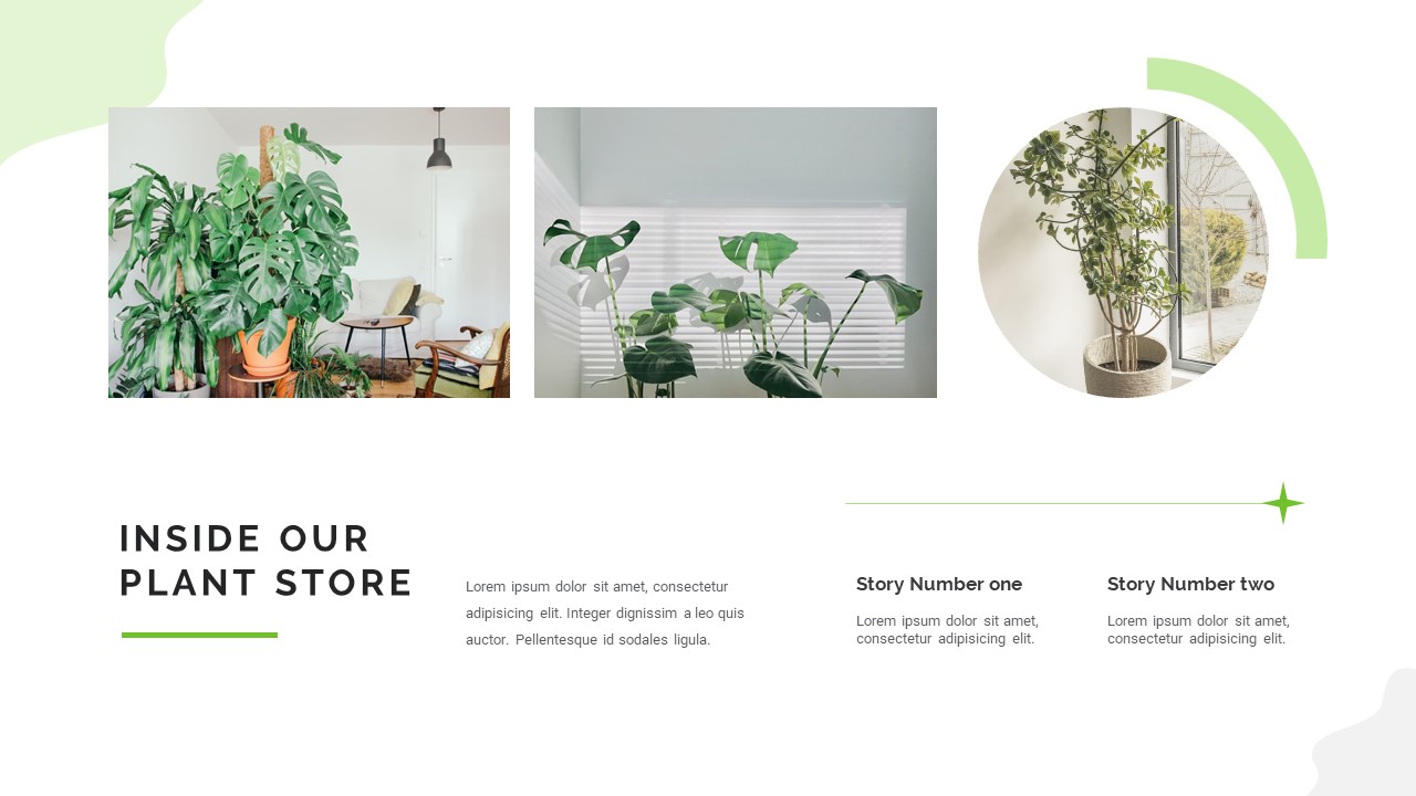 Plantice - Plant Store Google Slides, Presentation Templates | GraphicRiver