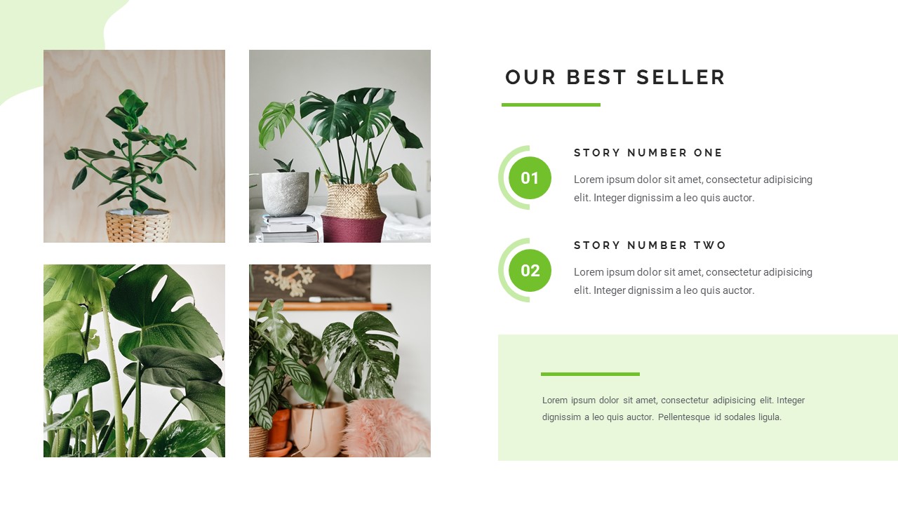 Plantice - Plant Store Google Slides, Presentation Templates | GraphicRiver