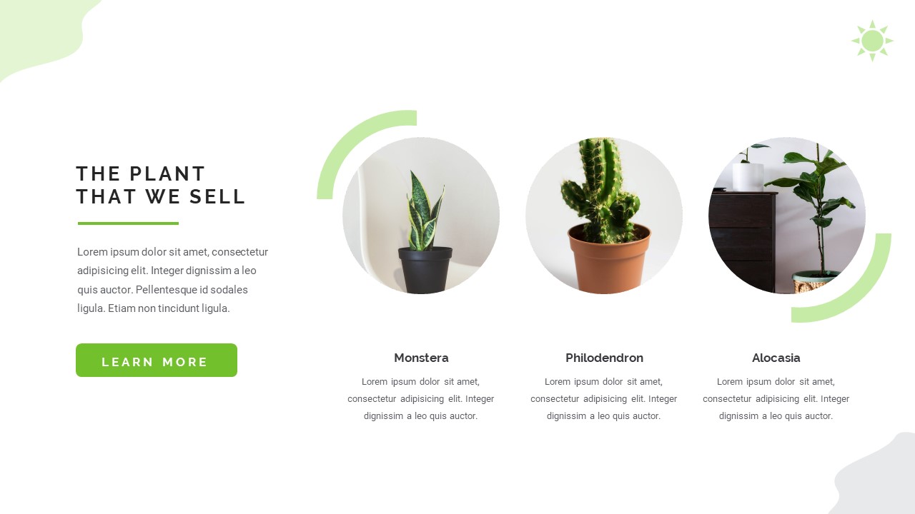 Plantice - Plant Store Google Slides, Presentation Templates | GraphicRiver