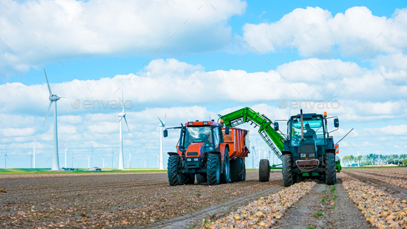 Tractor on the land, Harvesting machine tractor working in the field ...