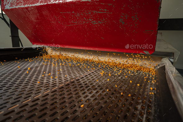 machine processing corn in food factory Stock Photo by pblskll | PhotoDune