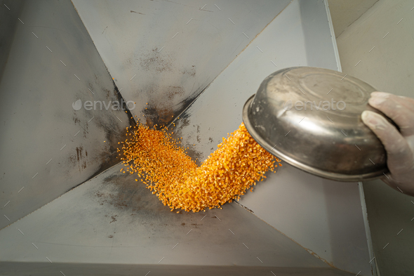 machine processing corn in food factory Stock Photo by pblskll | PhotoDune