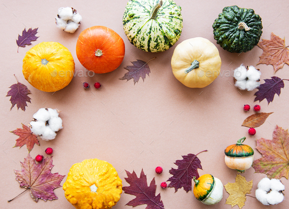 Pumpkins and fall leaves Stock Photo by Olena_Rudo | PhotoDune