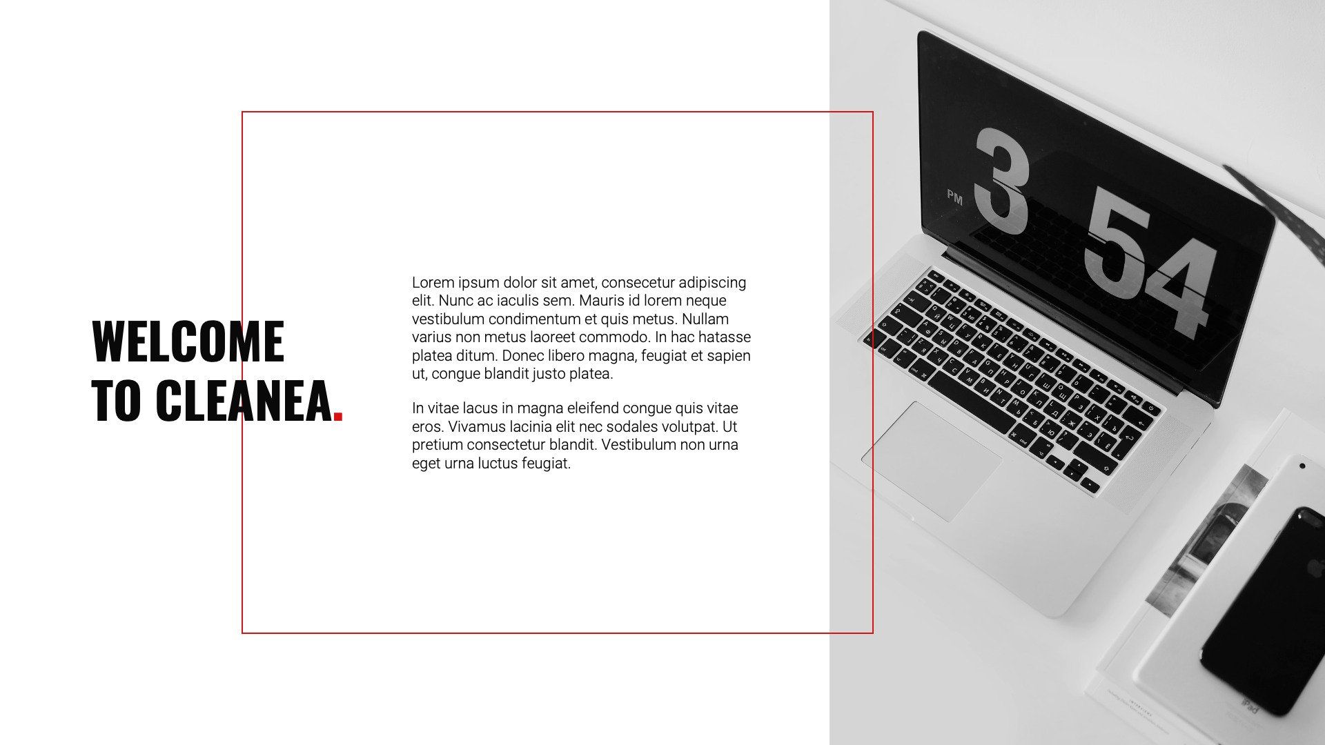 Cleanea - Professional Clean Keynote Presentation Template by fivestox