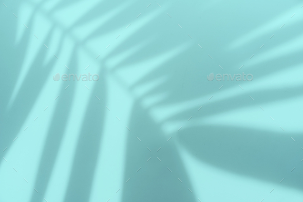 Tropical palm leaves shadow on blue background with copy space Stock ...