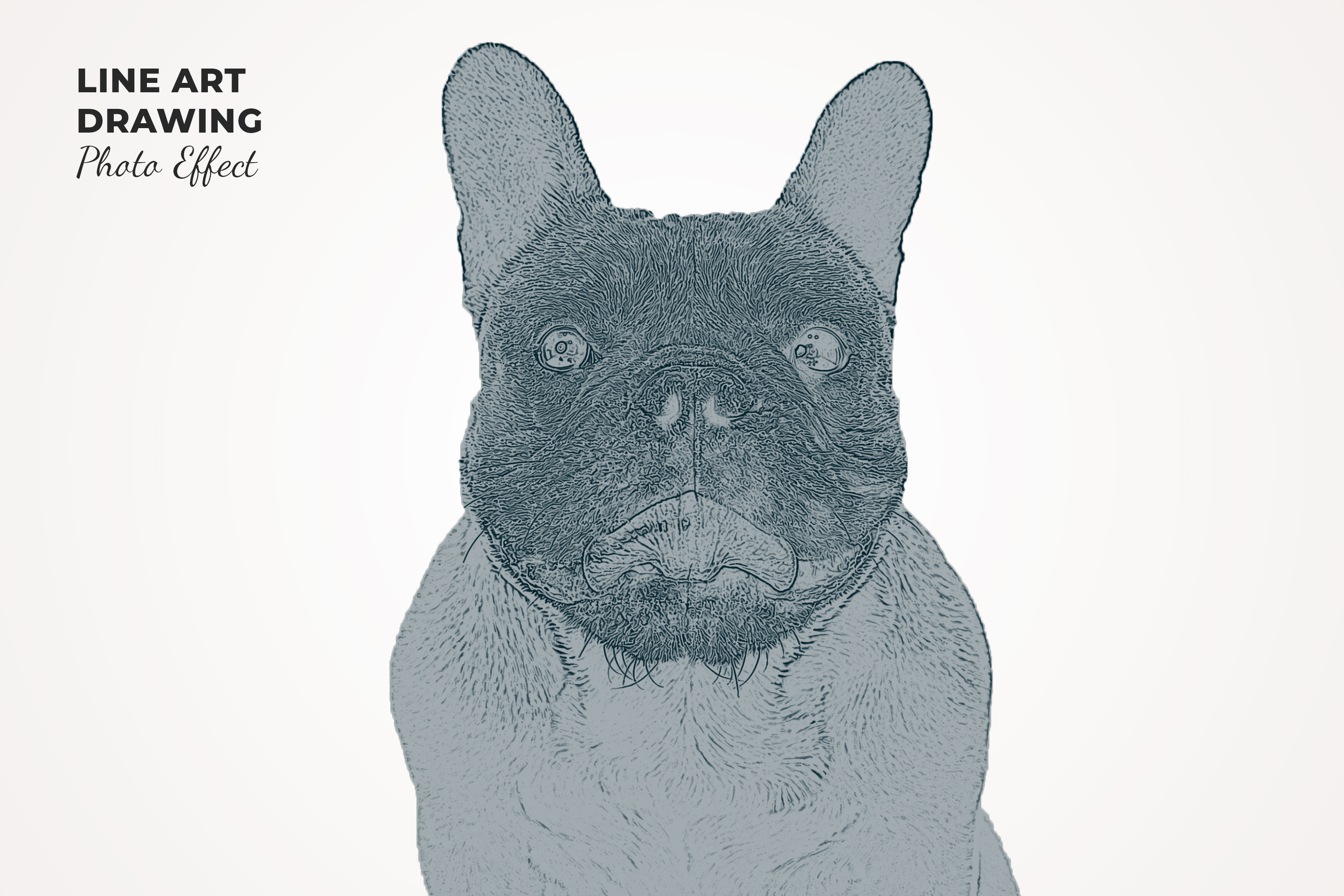 Bundle, Add-ons | GraphicRiver