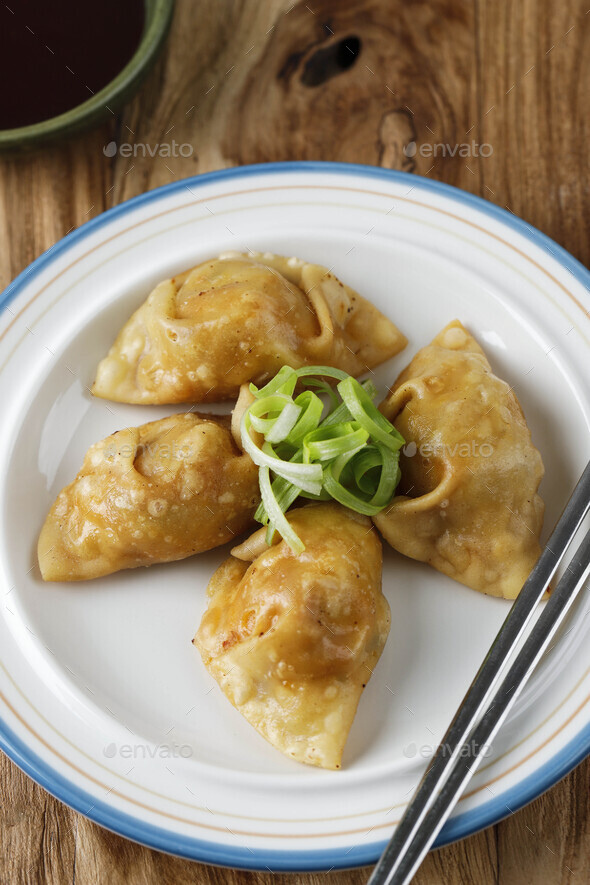 Korean Fried Mandu Dumpling Stock Photo by ikadapurhangus | PhotoDune