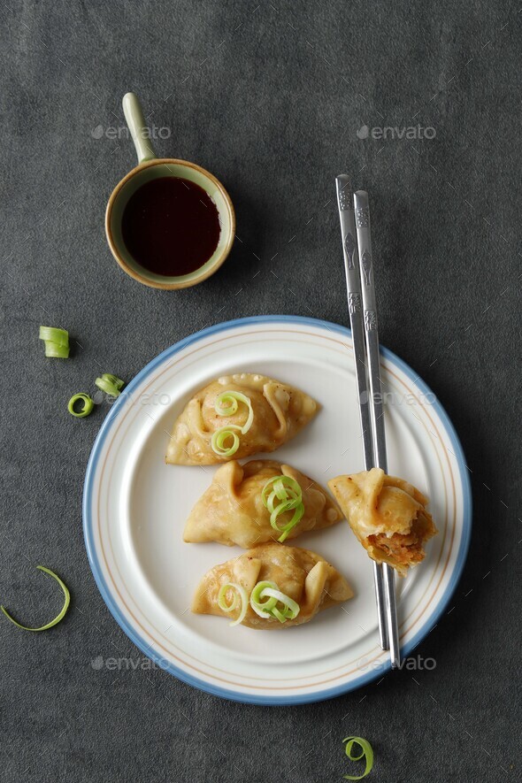 Korean Fried Mandu Dumpling Stock Photo by ikadapurhangus | PhotoDune