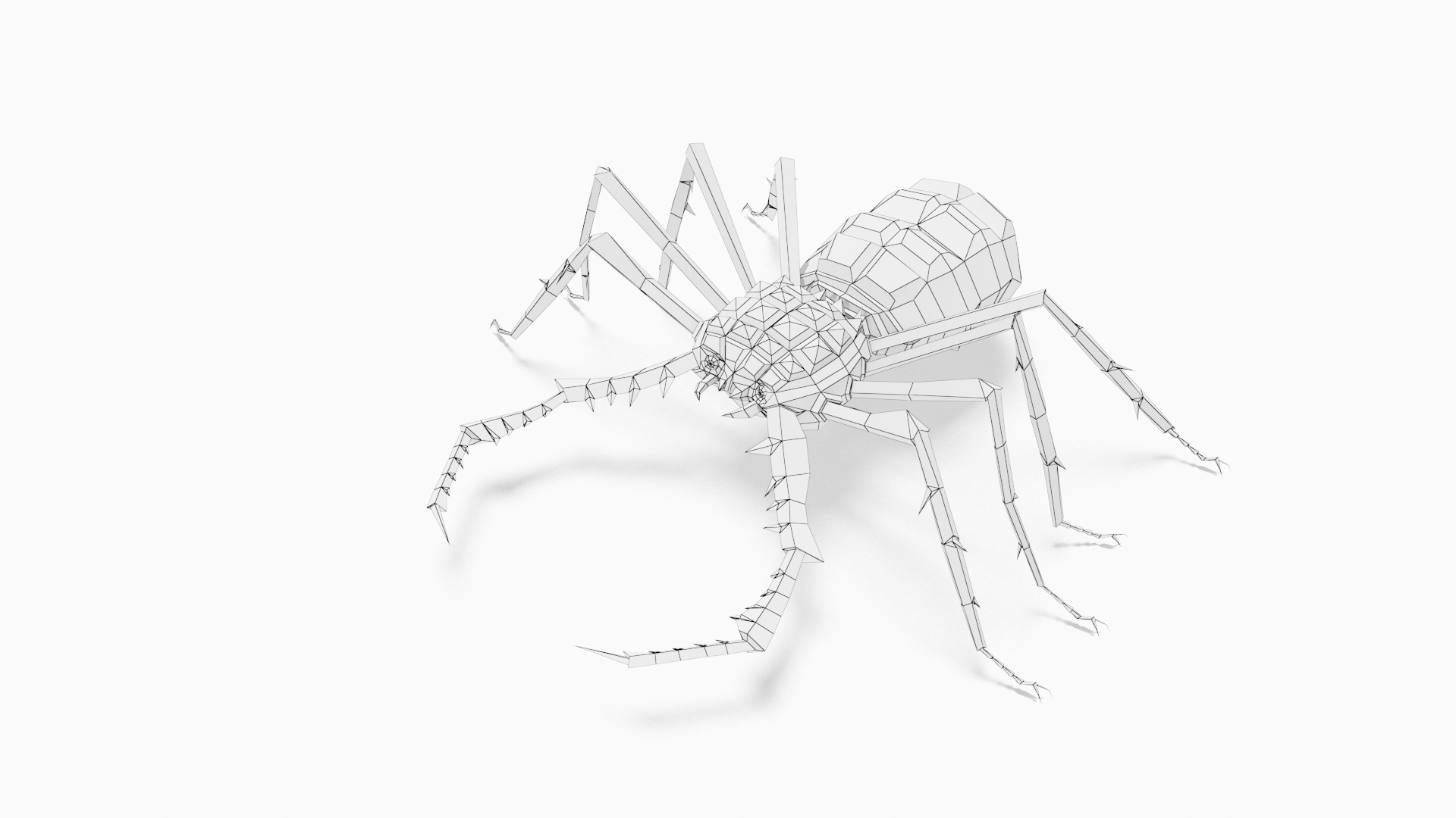 Bug low poly by coc3d | 3DOcean