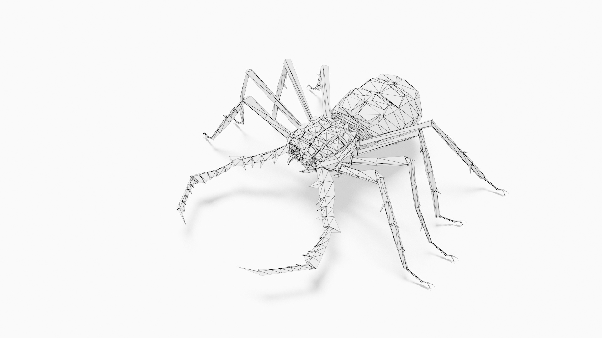 Bug low poly by coc3d | 3DOcean