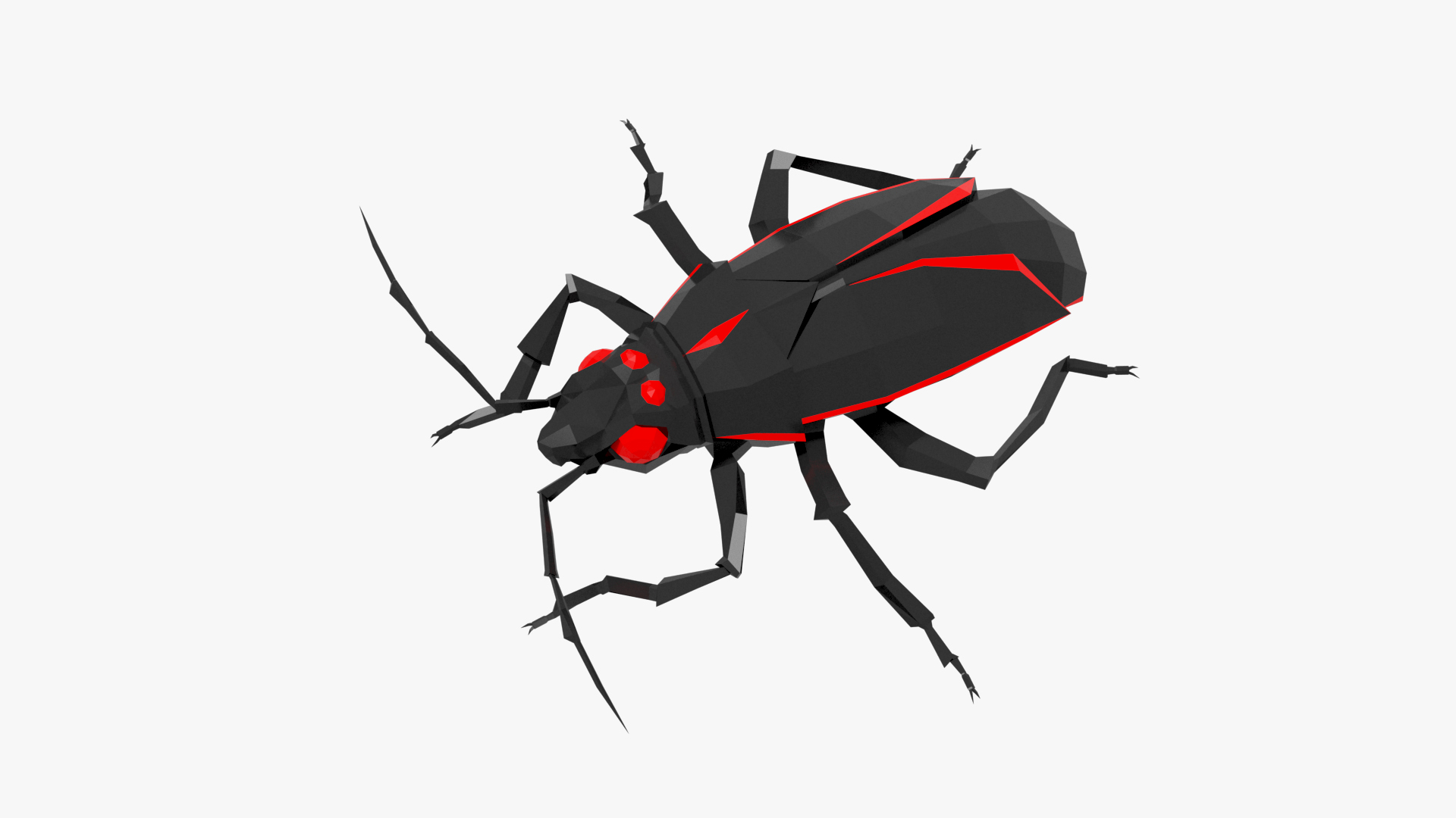 Bug low poly by coc3d | 3DOcean
