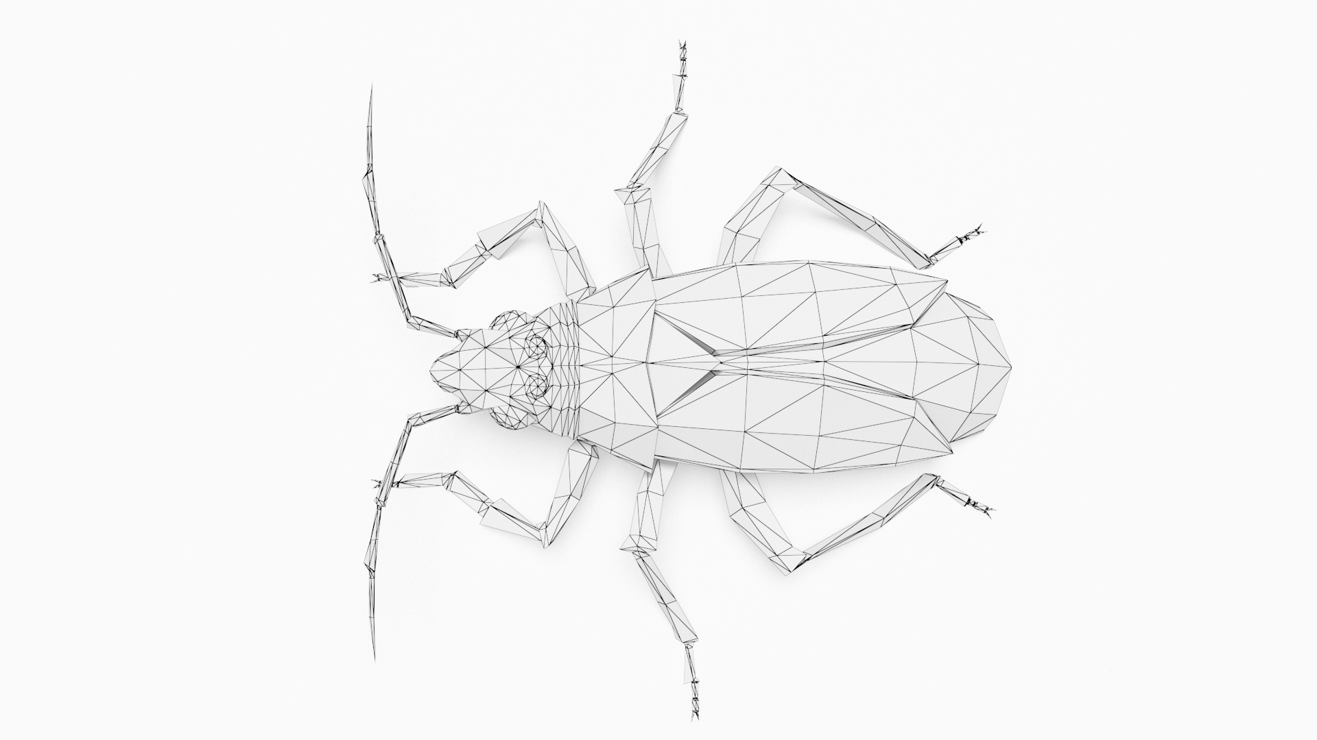 Bug low poly by coc3d | 3DOcean