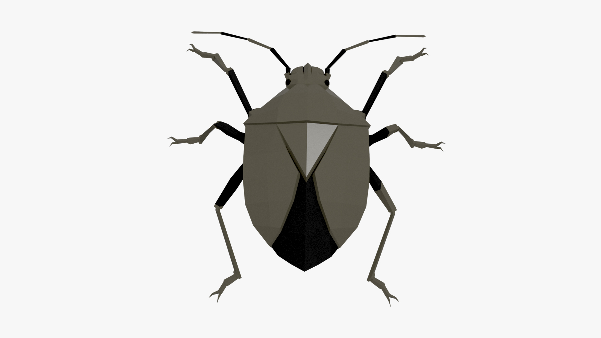Bug low poly by coc3d | 3DOcean