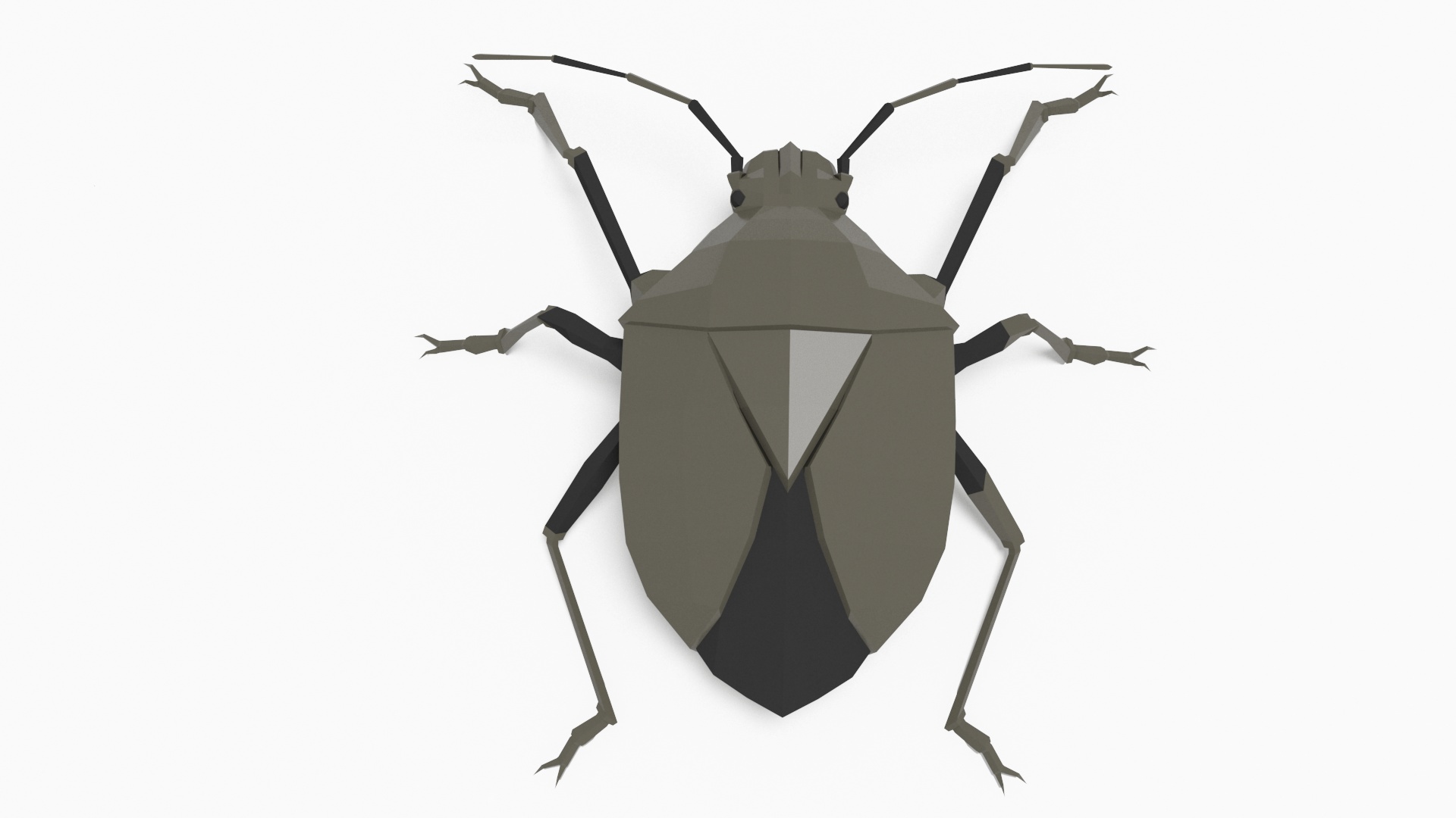 Bug low poly by coc3d | 3DOcean