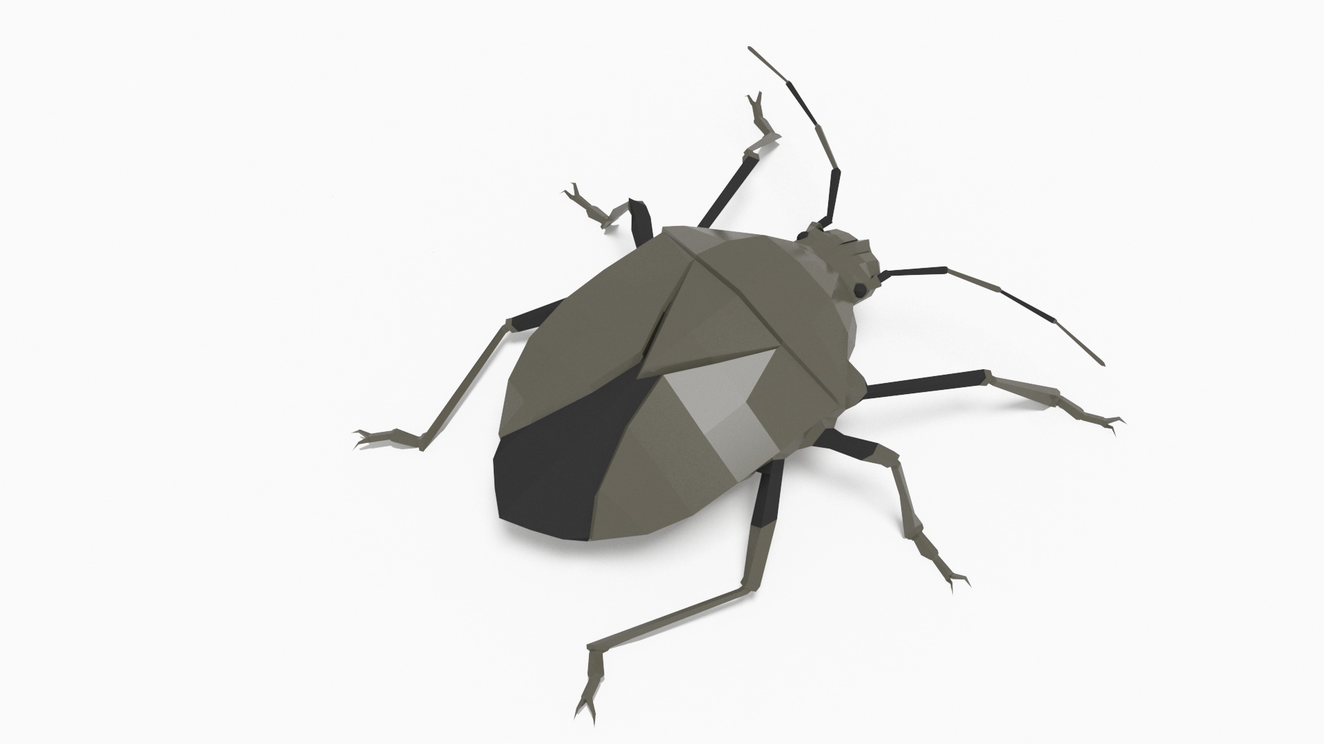 Bug low poly by coc3d | 3DOcean