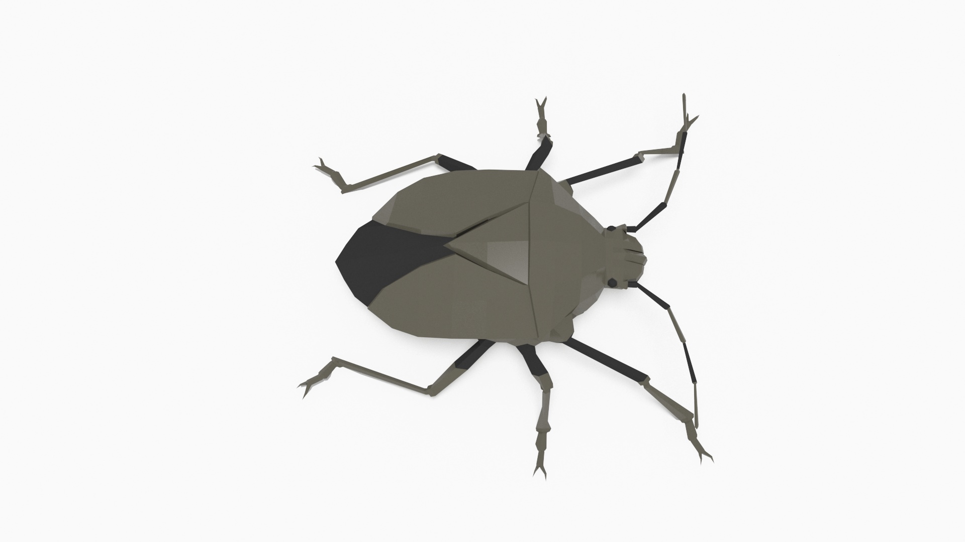 Bug low poly by coc3d | 3DOcean