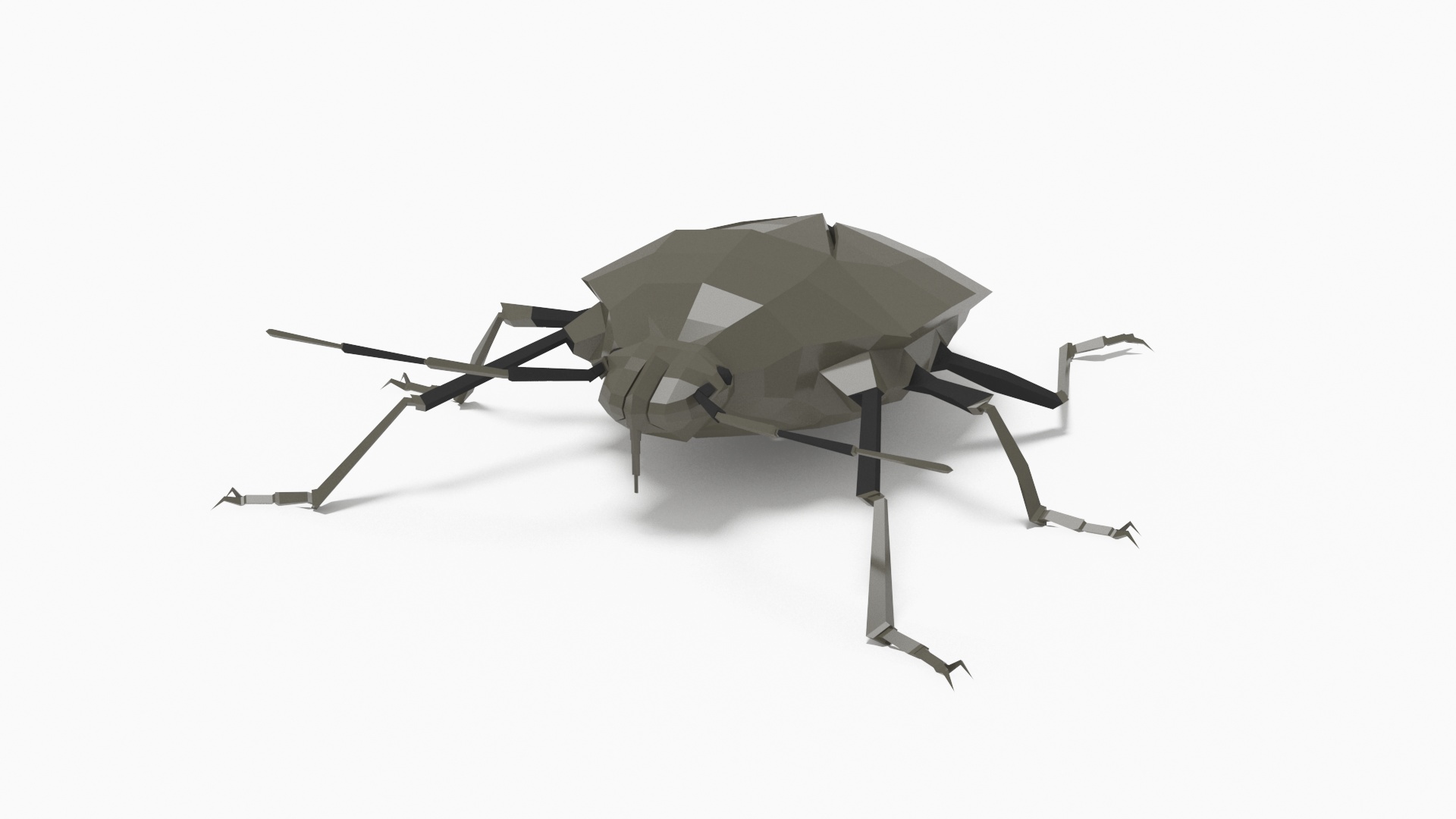 Bug low poly by coc3d | 3DOcean